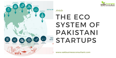 The EcoSystem of Pakistan related to startup - Oak Business Consultant