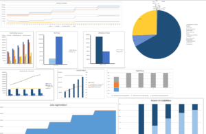 Language School Excel Financial Model - Oak Business Consultant