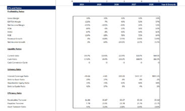 Fintech Financial Model Template - Oak Business Consultant