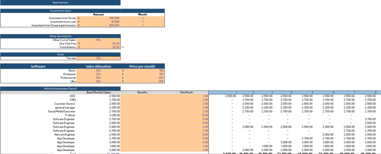 Human Resource Software Financial Model - Oak Business Consultant