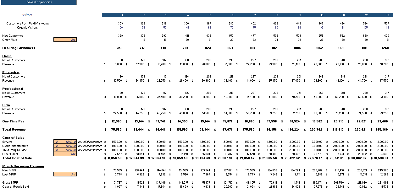 Inventory Control Software Financial Model - Oak Business Consultant