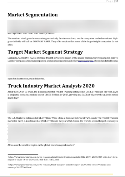 Truck Transport Business Plan - Oak Business Consultant