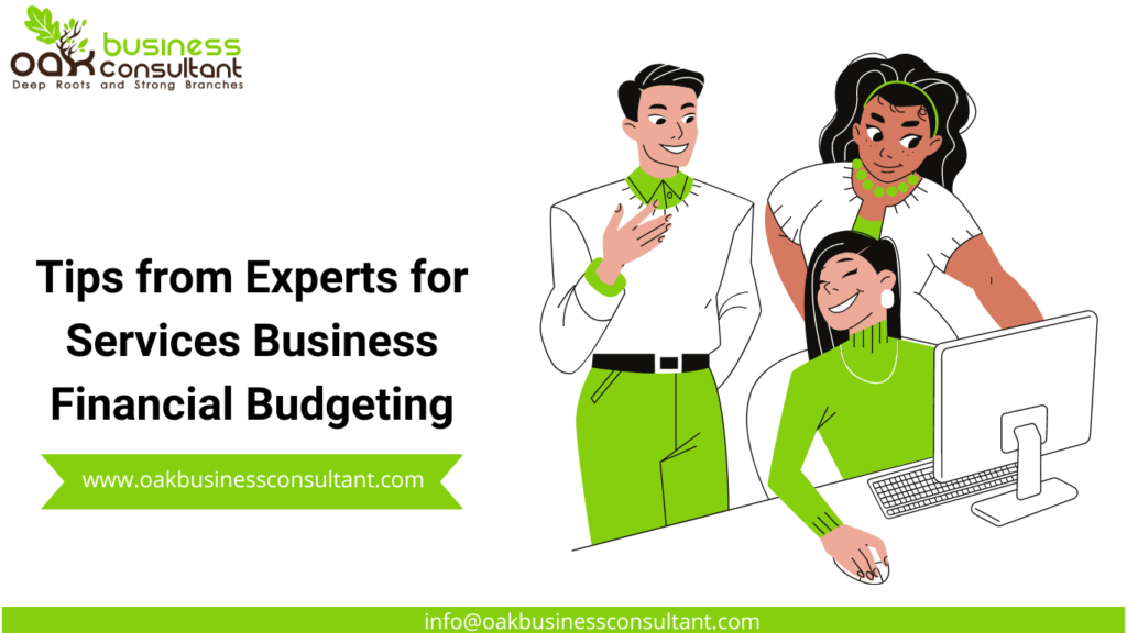 Tips from Experts for Services Business Financial Budgeting