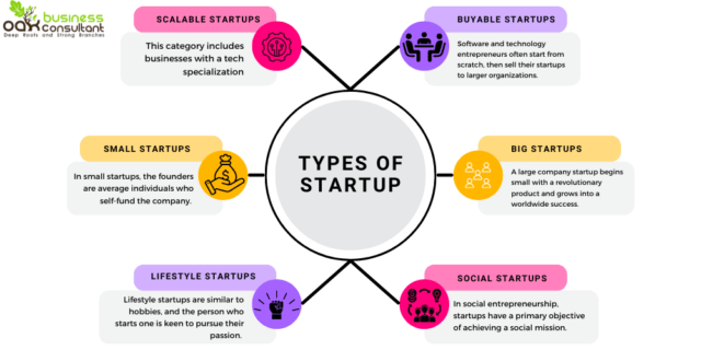 Chart of Accounts for a Startup - Oak Business Consultant