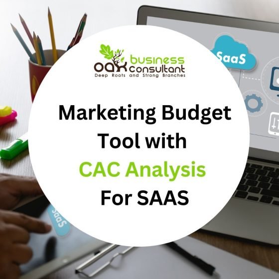 Marketing Budget tool with CAC Analysis for SaaS - Oak Business Consultant