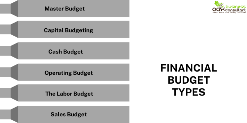 Holistic Financial Budget Definition, Its Types, and Uses