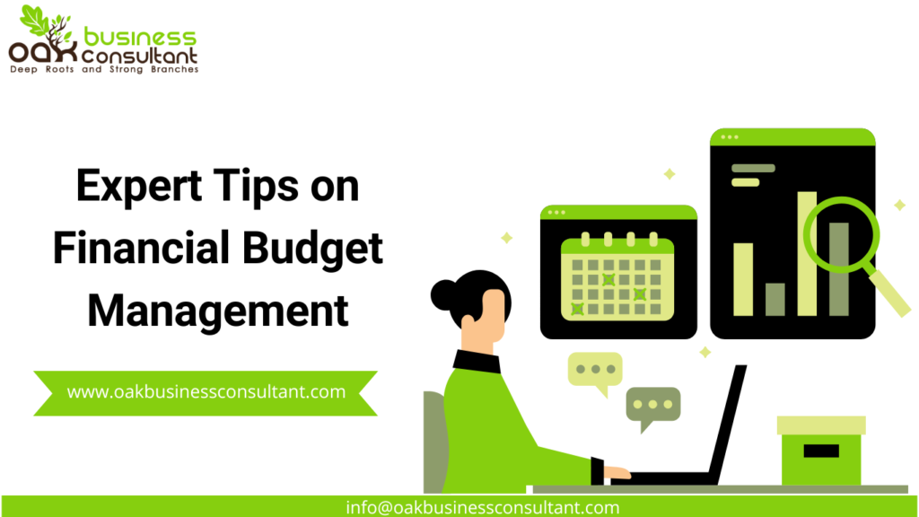 Expert Tips on Financial Budget Management - Oak Business Consultant