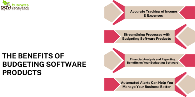 How to Make the Most of Your Budgeting Software b - Oak Business Consultant