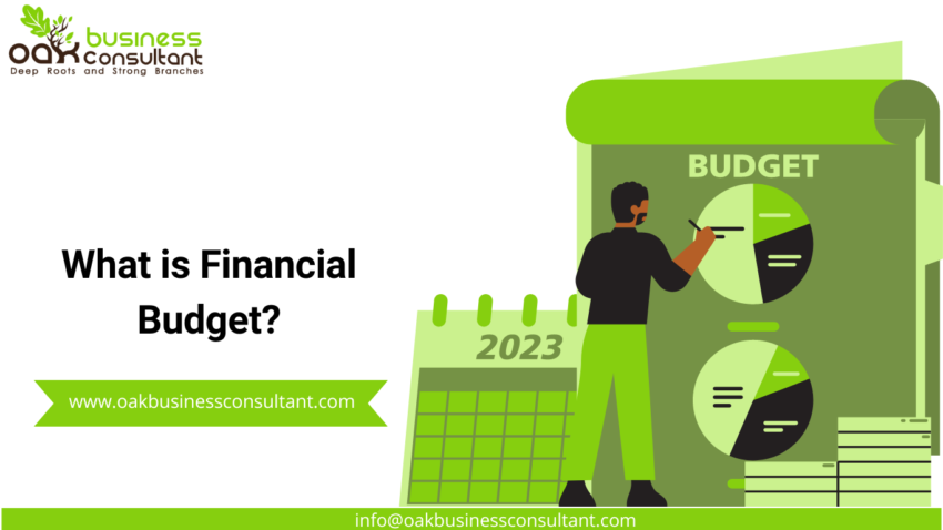 What is Financial Budget? - Oak Business Consultant