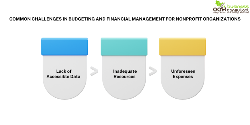 12 Golden Rules of Budgeting and Financial Management for NPO