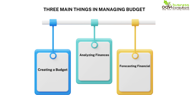Expert Tips on Financial Budget Management - Oak Business Consultant