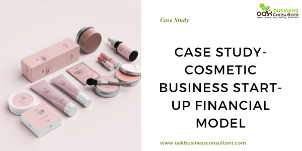 Case Study: Financial Modeling for a Cosmetics Business