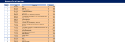 Consulting Budget Template - Oak Business Consultant