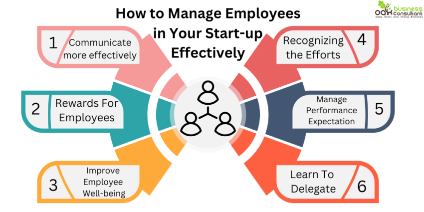 How to do Employee Management in Your Start-up Effectively