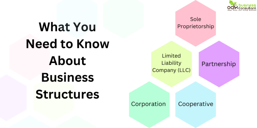 What You Need to Know About Business Structures - Oak Business Consultant