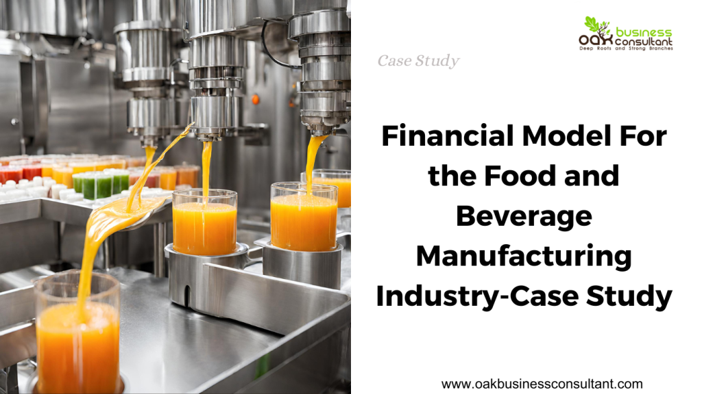 A Case Study on Food Financial Model for Snack Manufacturers